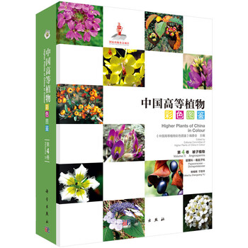 中国高等植物彩色图鉴  第四卷 被子植物 罂粟科—毒鼠子科