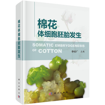 棉花体细胞胚胎发生