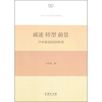 减速 转型 前景：卢中原谈经济转型