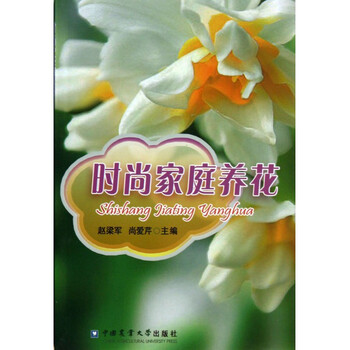 时尚家庭养花