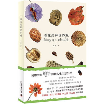 看花是种世界观