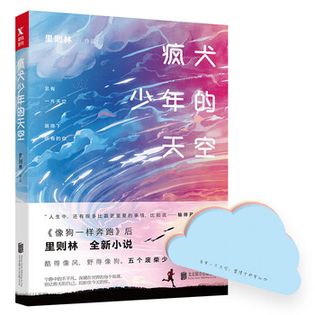 正版 磨铁图书：疯犬少年的天空 9787559602565