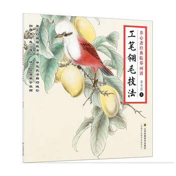 养心斋经典临摹画谱-工笔翎毛技法9787558024085