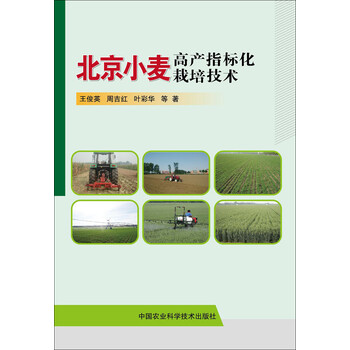 北京小麦高产指标化栽培技术