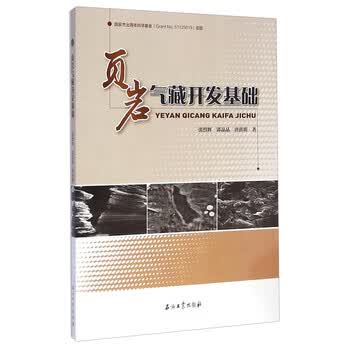 页岩气藏开发基础