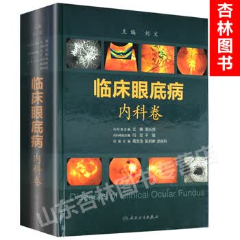 医学书正版 临床眼底病.内科卷 刘文 人民卫生出版社外科卷眼底病学图谱临床眼底病鉴别诊断学实用眼科学