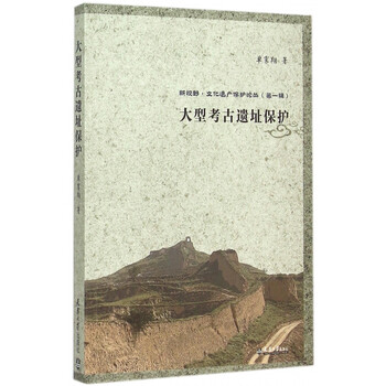 大型考古遗址保护/新视野文化遗产保护论丛