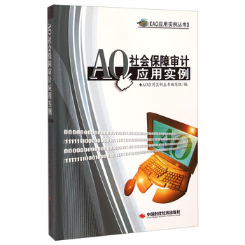 AO应用实例丛书：AO社会保障审计应用实例