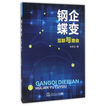 钢企蝶变(互联与路由)