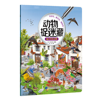 动物捉迷藏：城市里的动物
