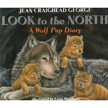 Look to the North