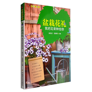 盆栽花礼：我把花束种给你