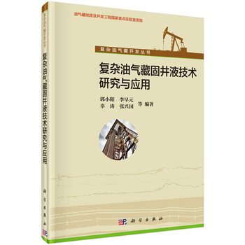 复杂油气藏固井液技术研究与应用