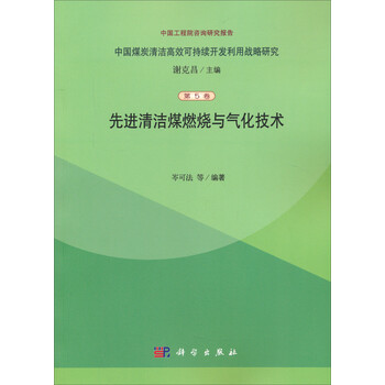 先进清洁煤燃烧与气化技术（第5卷）