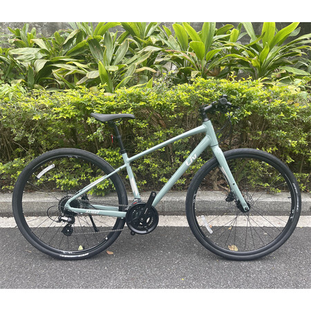 捷安特（GIANT）LIV乌梅子酱平把公路自行车ALIGHT 2DD DISC女式大学生款 桉树绿色 请告知客服身高 700C16速【图片 ...
