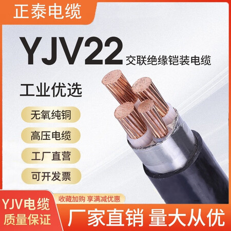 正泰（CHNT）国标YJV22铜铠装电缆10/16/25/35/50平方2/3/4/5芯电力电线 国标检测1米4芯 6平方毫米【图片 价格 品牌 报价】-京东