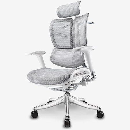 【迩高迈思Evolution】Ergomax 人体工程学电脑椅办公椅Evolution银灰色加大版【行情 报价 价格 评测】-京东