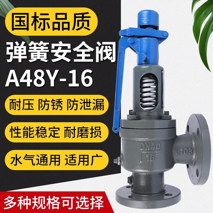 飞峰法兰安全阀A48Y/H-16C/25蒸汽管道弹簧式泄压阀A47铸钢可调压力阀 DN40【图片 价格 品牌 报价】-京东