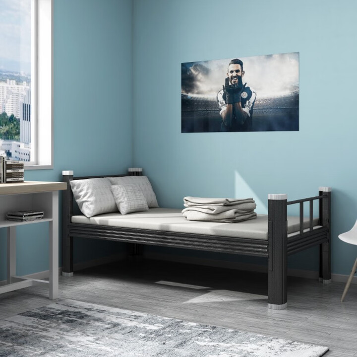 常晟（CHANGSHENG）钢制闭口双层床宿舍公寓床上下铺员工高低铁床铁架子床学生双人床 加厚单层黑色1200*2000含床板【图片 价格 ...