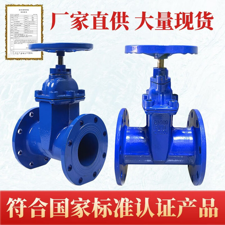 SEHFM 闸阀Z45X-16Q法兰软密封暗杆弹性座封消防水阀门开关橡胶密封闸阀 中体 DN250【图片 价格 品牌 报价】-京东