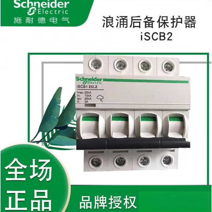 施耐德电气防雷浪涌专用后备保护器iSCB1 25L2 3P 4065 iSCB125L24P【图片 价格 品牌 报价】-京东