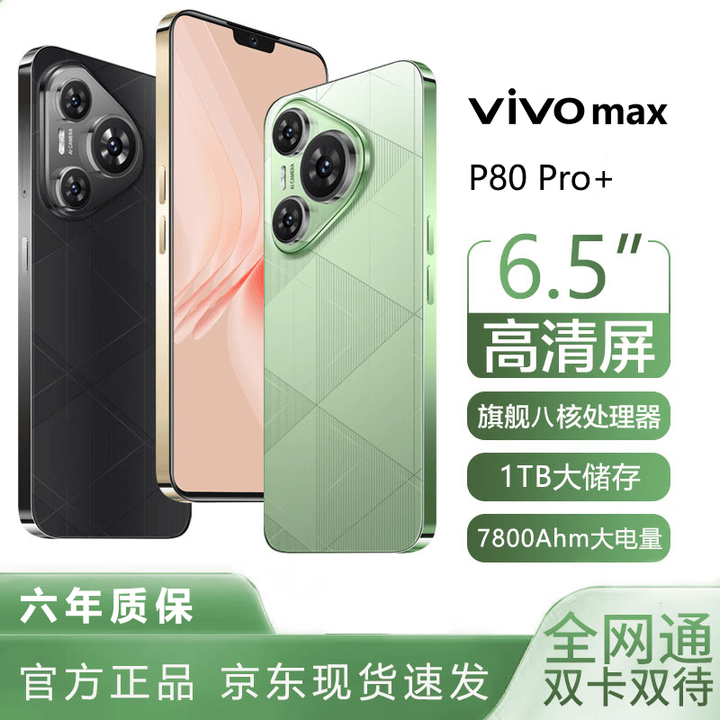 VIVOMAX政府补贴5G全网通双卡1TB大内存骁龙888电竞游戏双卡双待快充7800mAh大电池高清护眼大屏全新手机 香颂绿 16G运行 ...