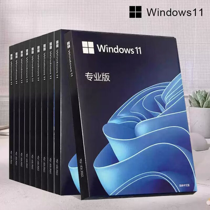 win10win11专业版正版系统windows1011电脑重装系统U盘家庭专业版 Win11专业版中文 优盘 永久使用【图片 价格 品牌 报价】-京东