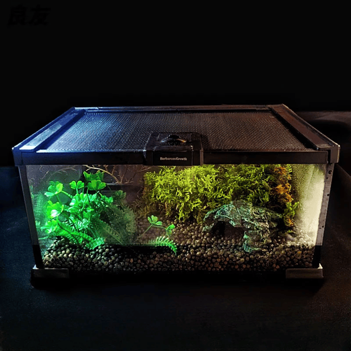 NOMO DUCK角蛙饲养箱套装两栖蛙类繁殖箱爬宠雨林缸苔藓造景树蛙蝾螈乌龟箱 L秋冬款(加高) 30×20×20【图片 价格 品牌 报价】-京东