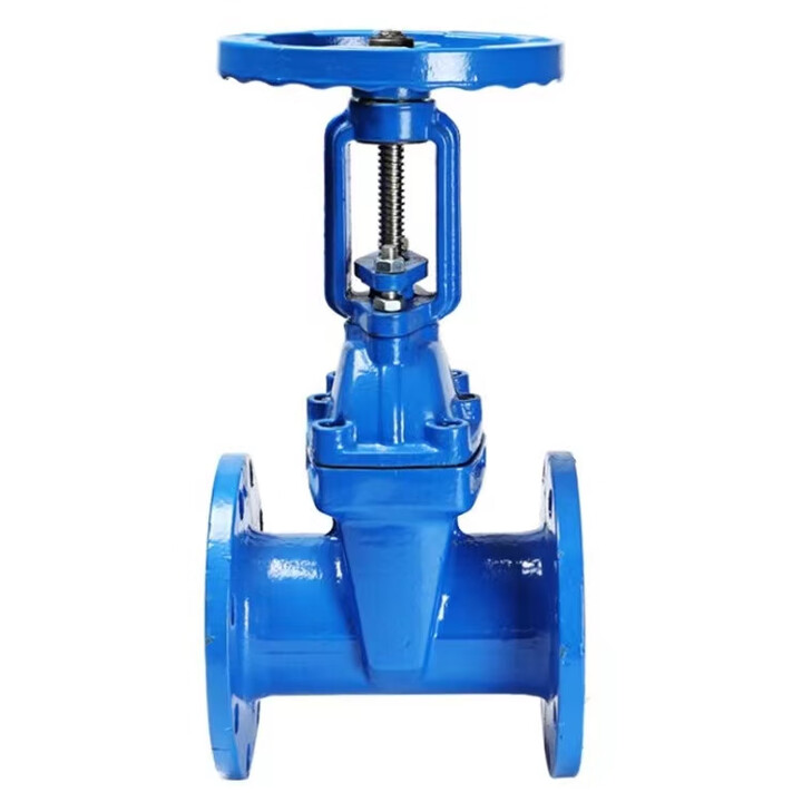 上海阀门Z41X-16Q污水铸铁法兰闸阀dn100软密封明杆闸阀dn150 DN40【图片 价格 品牌 报价】-京东