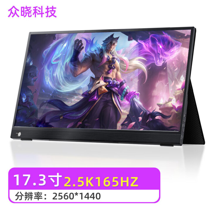 SamGta17.3寸2.5K高清IPS便携显示器手机电脑笔记本拓展switch/ps5副屏 17寸2.5K 165HZ【图片 价格 品牌 ...