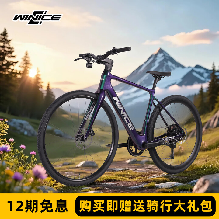 WINICE电助力自行车助力公路车通勤内置锂电池男女通用油刹弯把城市骑行 黑色（直把进阶版） L(建议身高:177-188CM)【图片 价格 ...