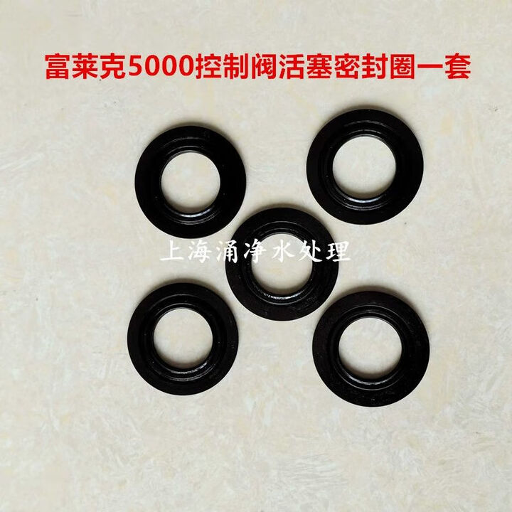 FLECK富莱克5000SE软水阀活塞格栅 密封圈活塞拉杆5000过滤阀配件 FLECK5000密封圈5个【图片 价格 品牌 报价】-京东