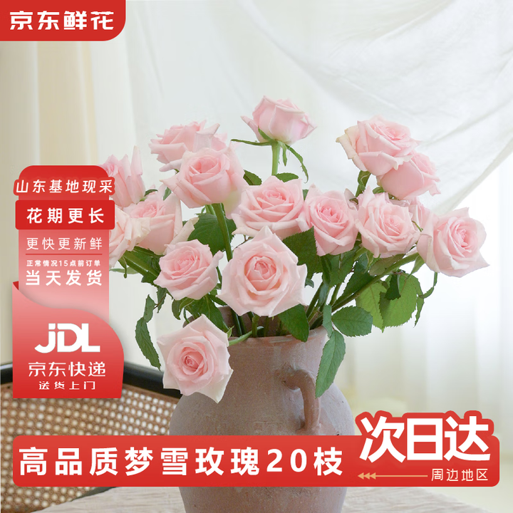 【京东鲜花玫瑰花梦雪20枝CD级】京东鲜花玫瑰花【梦雪】20枝无土栽培枝长50-55cm礼品花山东基地源头直发【行情 报价 价格 评测】-京东