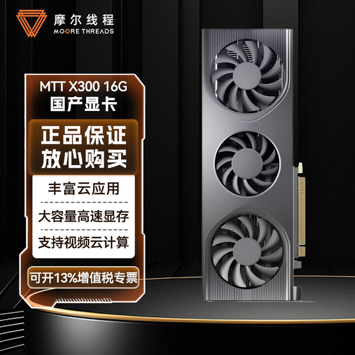 【摩尔线程MTT X300 16G】摩尔线程（MOORE THREADS）MTT X300 GPU16G显卡DeepSeek 一体机本地部署 ...