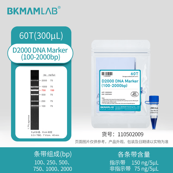 比克曼生物DNA Marker/Ladder核酸电泳实验DNA分子量标准源叶试剂 【发顺丰】D2000 DNA Marker（13【图片 价格 ...