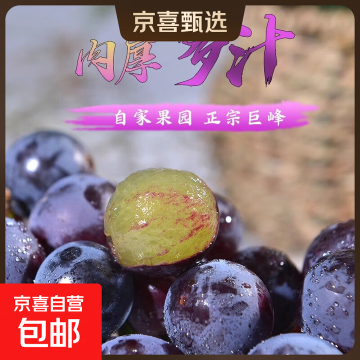 东北巨峰葡萄多汁多水一口爆汁水果黑提包邮新鲜采摘应季香甜现摘 剪粒独立包装超甜巨峰葡萄净重两斤【图片 价格 品牌 报价】-京东