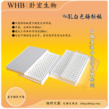 WHB官方旗舰店 - 京东