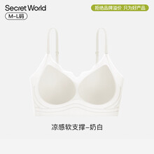 SecretWorld旗舰店 - 京东